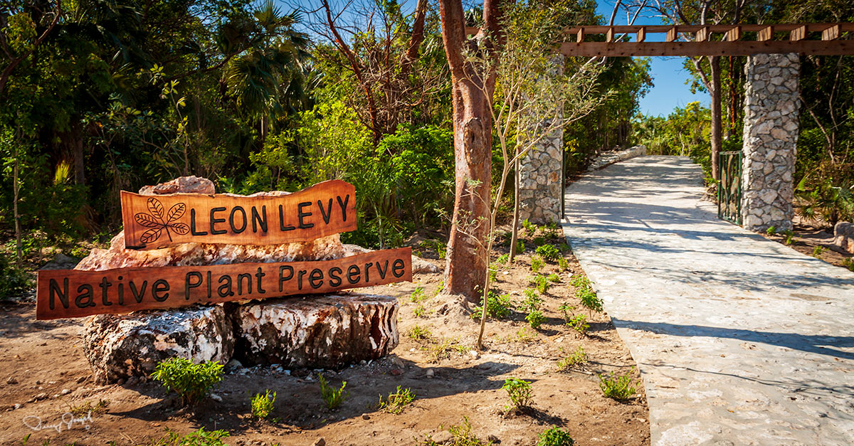 Leon Levy Native Plant Preserve — Eleuthera